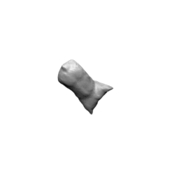 2104 03953 SNARF Differentiable Forward Skinning For Animating Non