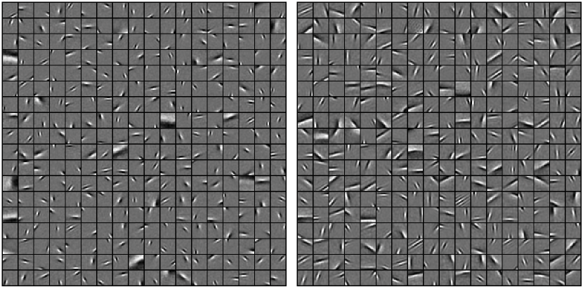 [0706.3177] Role of homeostasis in learning sparse representations