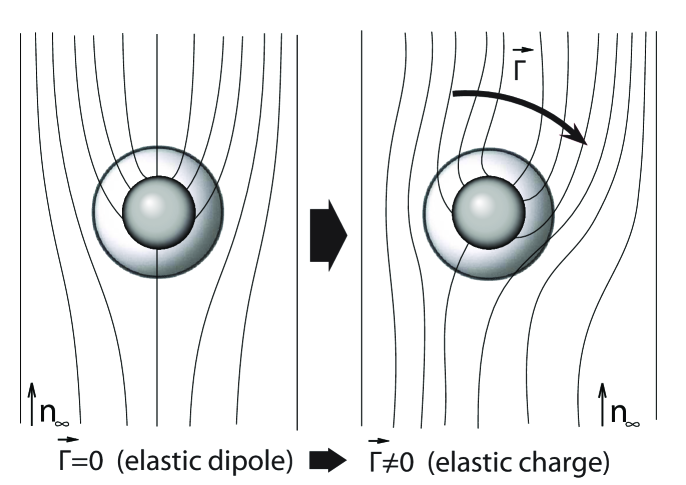 [0902.3543] Interaction of the Torque-Induced Elastic Charge and ...