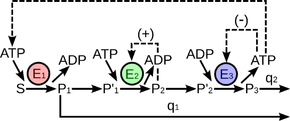 [1009.3627] Author Summary