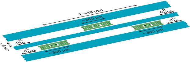 [1305.7135] Input-output theory for waveguide QED with an ensemble of inhomogeneous atoms