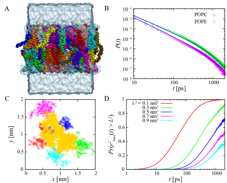 [1401.7776] Origin of subdiffusion of water molecules on cell membrane ...