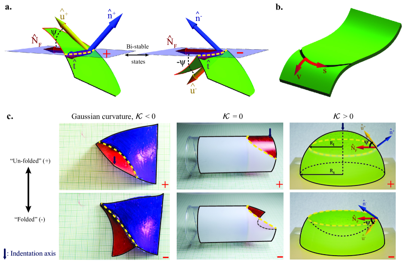 [1410.7038] Geometrically controlled snapping transitions in shells ...