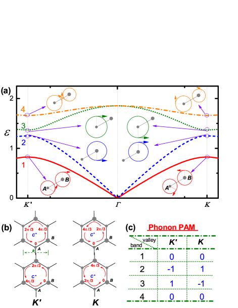 [1502.02573] Valley contrasting chiral phonons in monolayer hexagonal ...