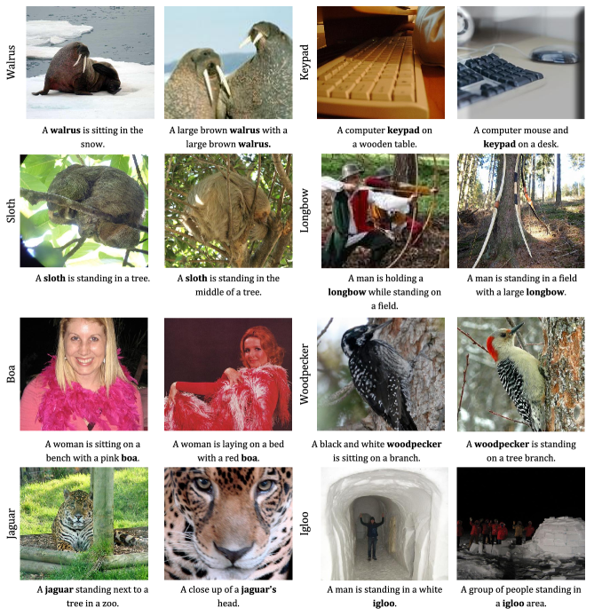 [1511.05284] Deep Compositional Captioning: Describing Novel Object Categories without Paired ...