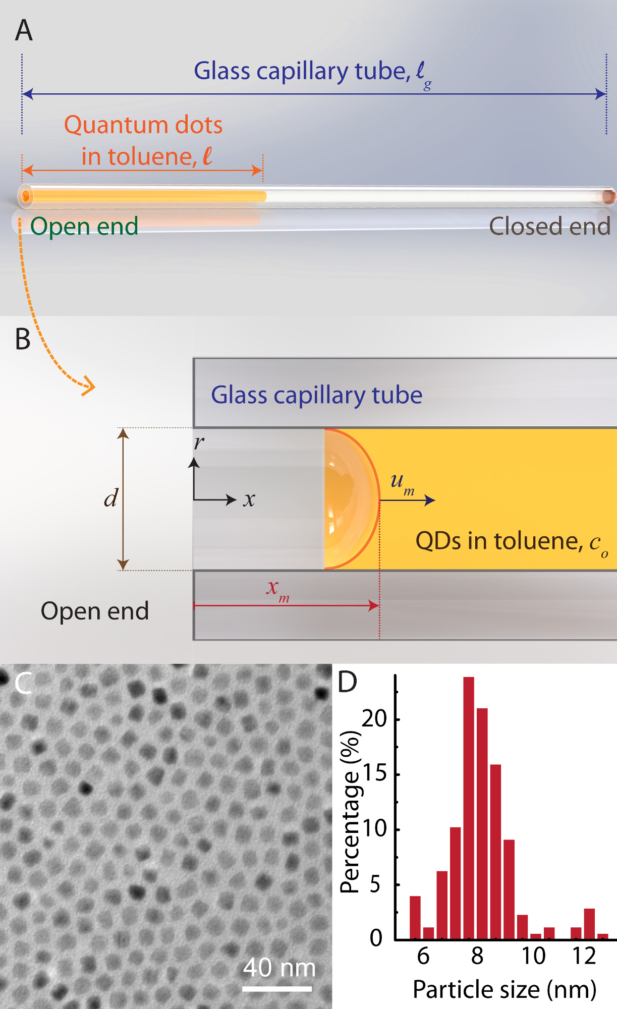 A Glass Capillary Tube Of Length L at Meagan Burlingame blog
