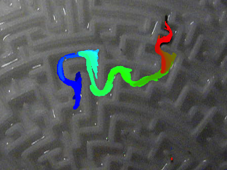 [1512.01878] On exploration of geometrically constrained space by ...