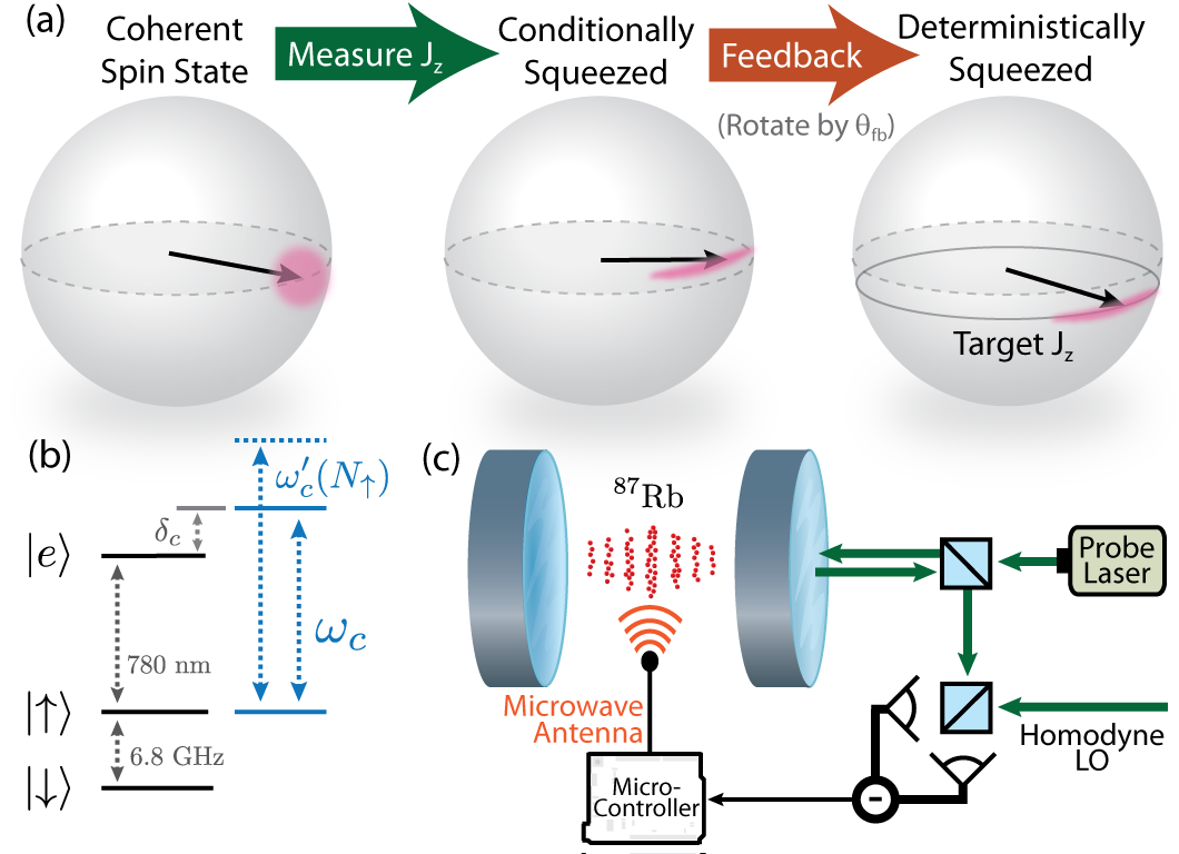 [1512.02150] Deterministic Squeezed States with Collective Measurements ...