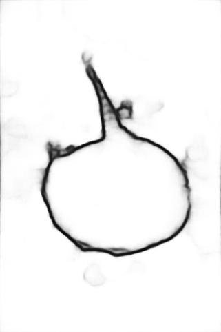 [1603.04530] Object Contour Detection with a Fully Convolutional Encoder-Decoder Network