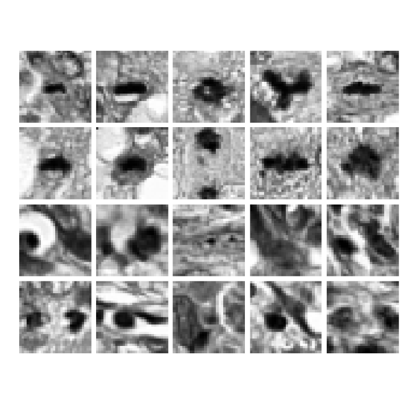 [1607.00067] Unsupervised Learning with Imbalanced Data via Structure Consolidation Latent ...