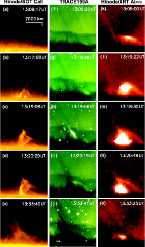 [1607.02108] Solar Coronal Jets: Observations, Theory, and Modeling