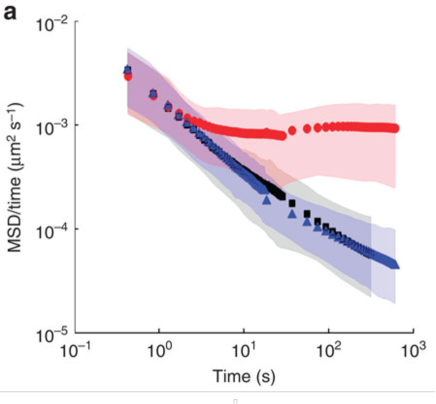 [1608.05914] Active Rouse Chains