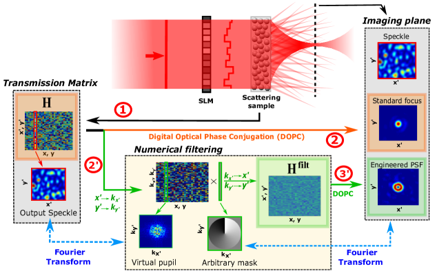 [1609.00307] Transmission-matrix-based point-spread-function ...