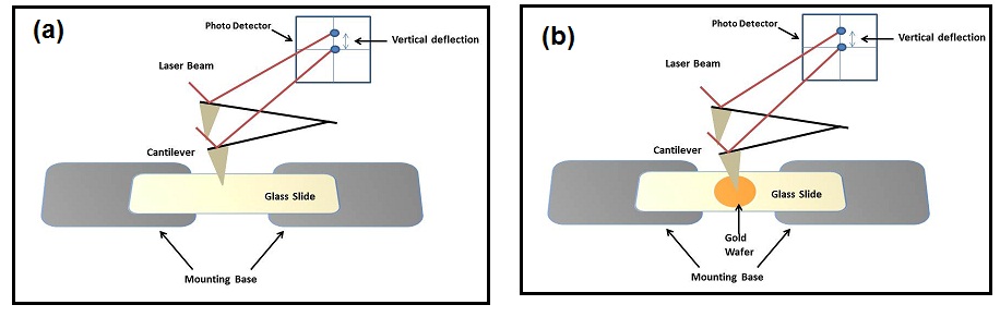 [1610.00463] The role of substrates and environment in piezoresponse ...