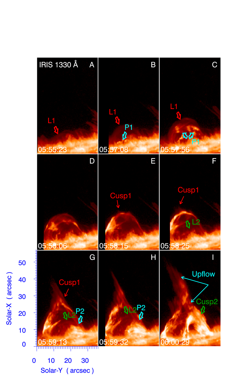 [1611.05033] Cusp-shaped structure of a jet observed by IRIS and SDO