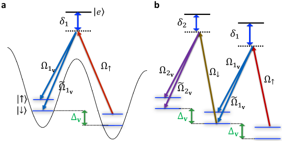 [1612.01518] Probe knots and Hopf insulators with ultracold atoms