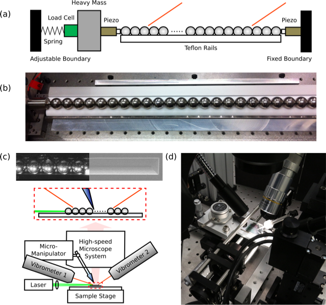 [1612.03977] Nonlinear Coherent Structures in Granular Crystals