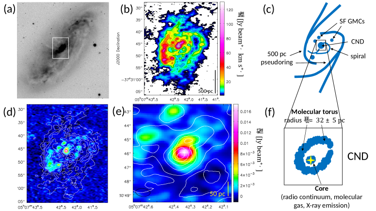 [1612.06488] Multi-line Imaging of the Starburst Galaxy NGC 1808 with ALMA