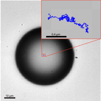 [1701.07070] Direct measurement of the ballistic motion of a freely ...