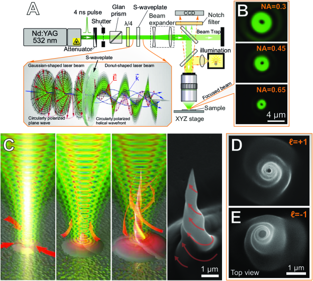 [1702.07891] Direct laser printing of chiral plasmonic nanojets by ...