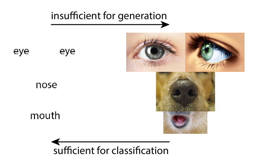 [1702.08396] Learning Hierarchical Features from Generative Models