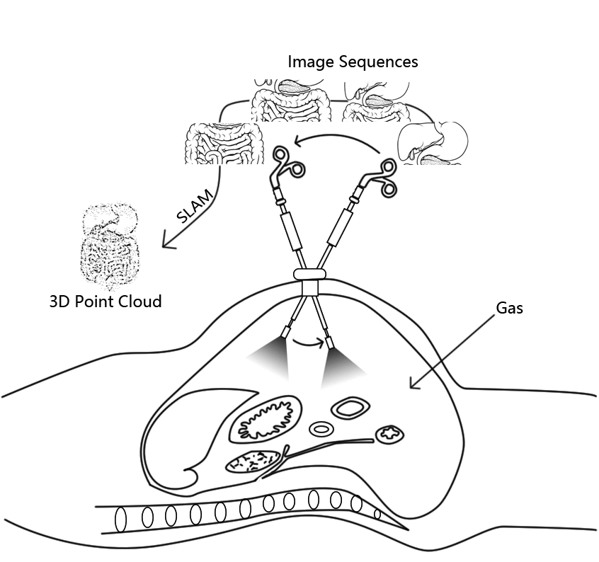 [1703.01243] Augmented Reality for Depth Cues in Monocular Minimally ...