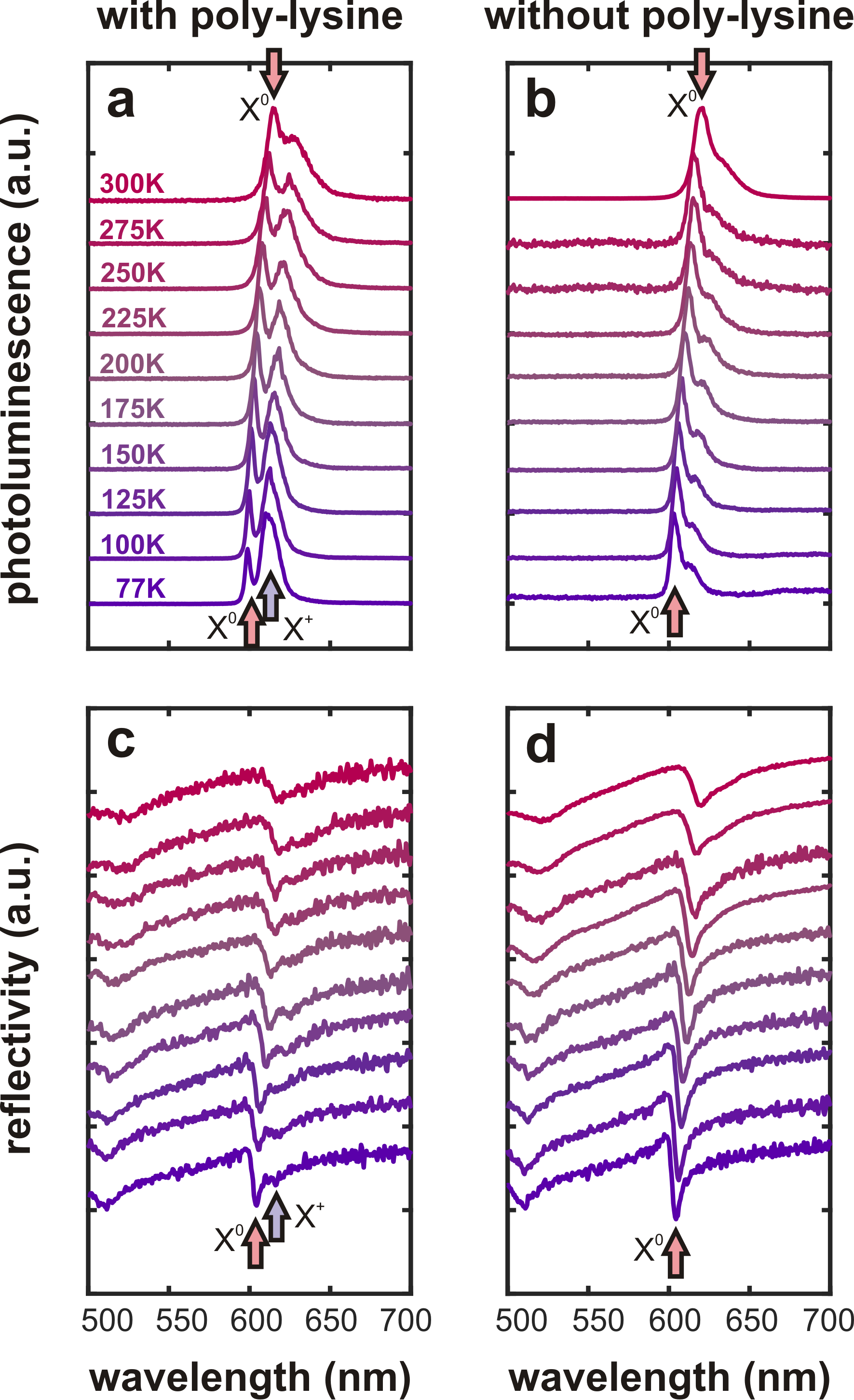 [1703.07873] Observation of tunable charged exciton polaritons in ...