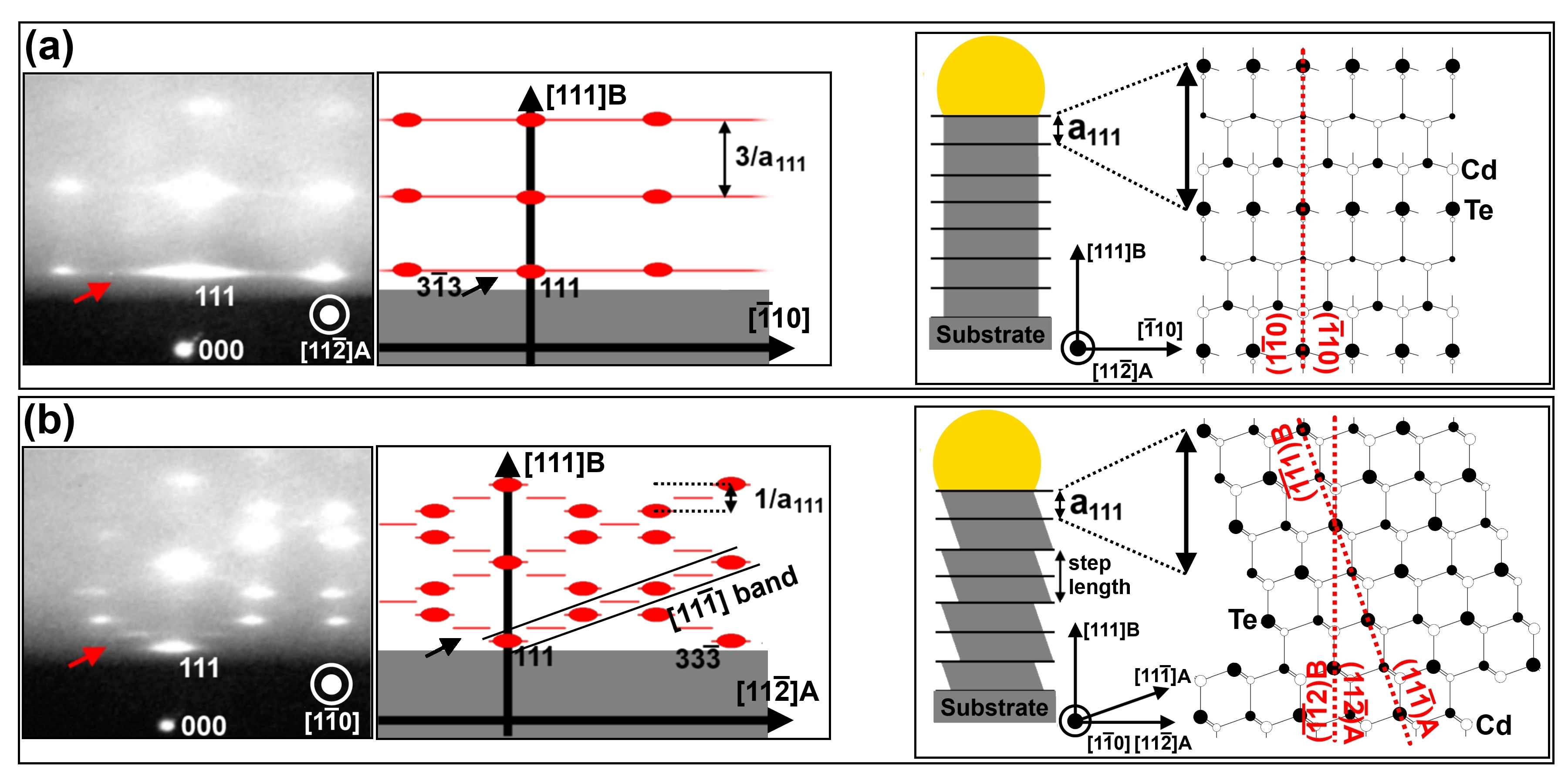 [1703.09106] CdTe-HgTe core-shell nanowire growth controlled by RHEED