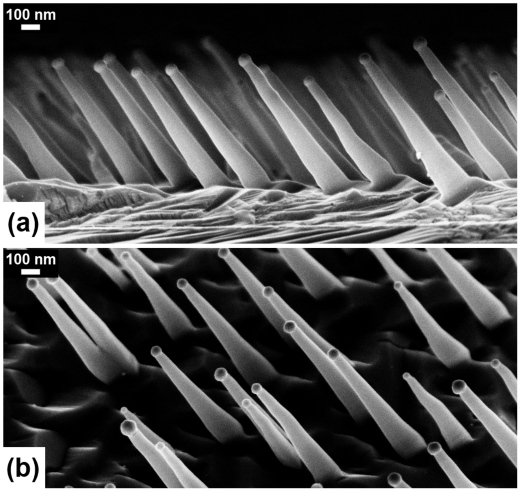 [1703.09106] CdTe-HgTe core-shell nanowire growth controlled by RHEED