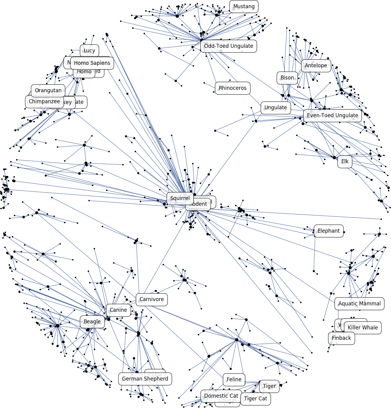 [1705.08039] Poincaré Embeddings for Learning Hierarchical Representations