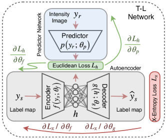 [1705.08302] Anatomically Constrained Neural Networks (ACNN ...