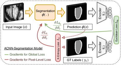 [1705.08302] Anatomically Constrained Neural Networks (ACNN): Application to Cardiac Image ...