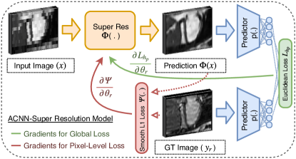 [1705.08302] Anatomically Constrained Neural Networks (ACNN): Application to Cardiac Image ...