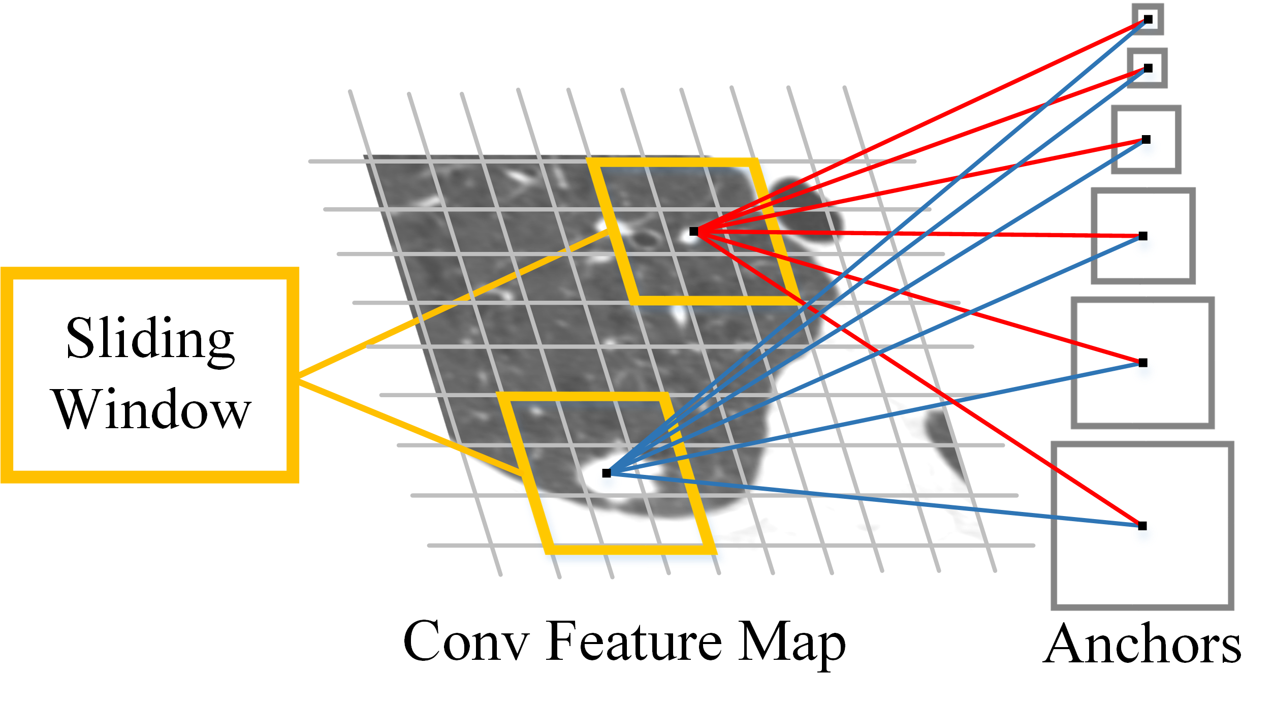 [1706.04303] Accurate Pulmonary Nodule Detection in Computed Tomography ...