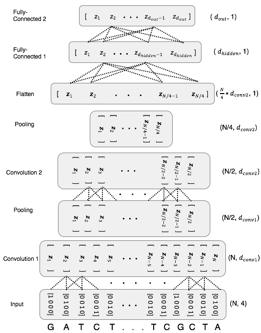 [1710.01278] Dilated Convolutions for Modeling Long-Distance Genomic ...