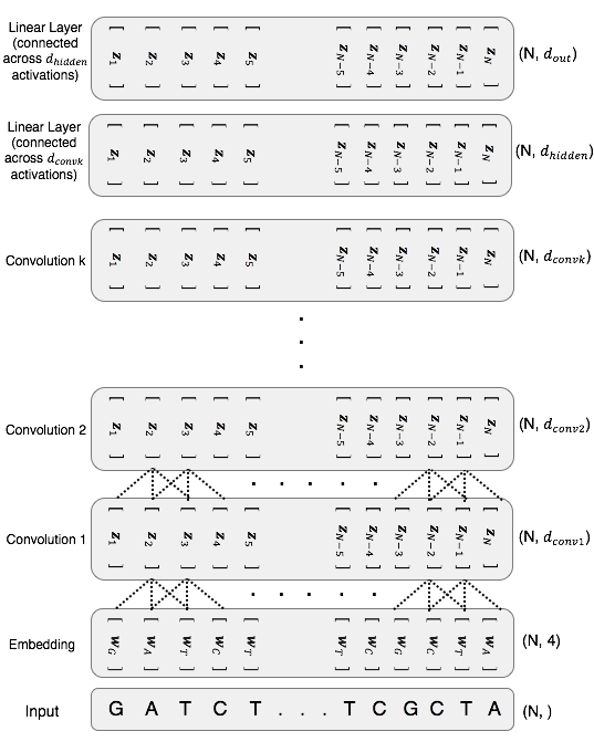 [1710.01278] Dilated Convolutions for Modeling Long-Distance Genomic ...