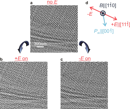 [1710.09200] In situ Electric Field Skyrmion Creation in ...