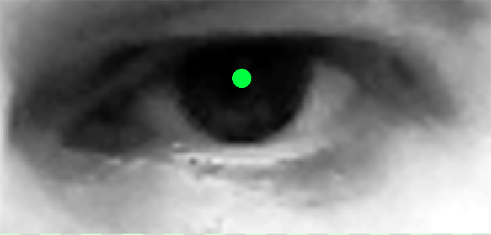 [1711.09017] MPIIGaze: Real-World Dataset and Deep Appearance-Based ...