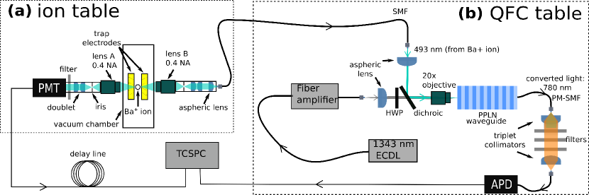 [1801.01193] Neutral atom wavelength compatible 780 nm single photons ...
