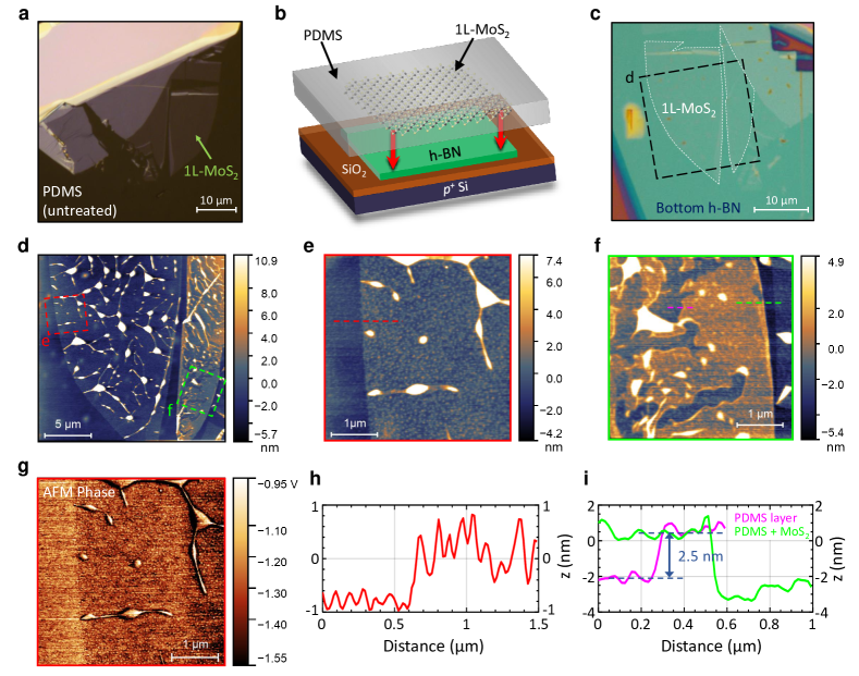 [1801.02971] Minimizing Residues and Strain in 2D Materials Transferred ...