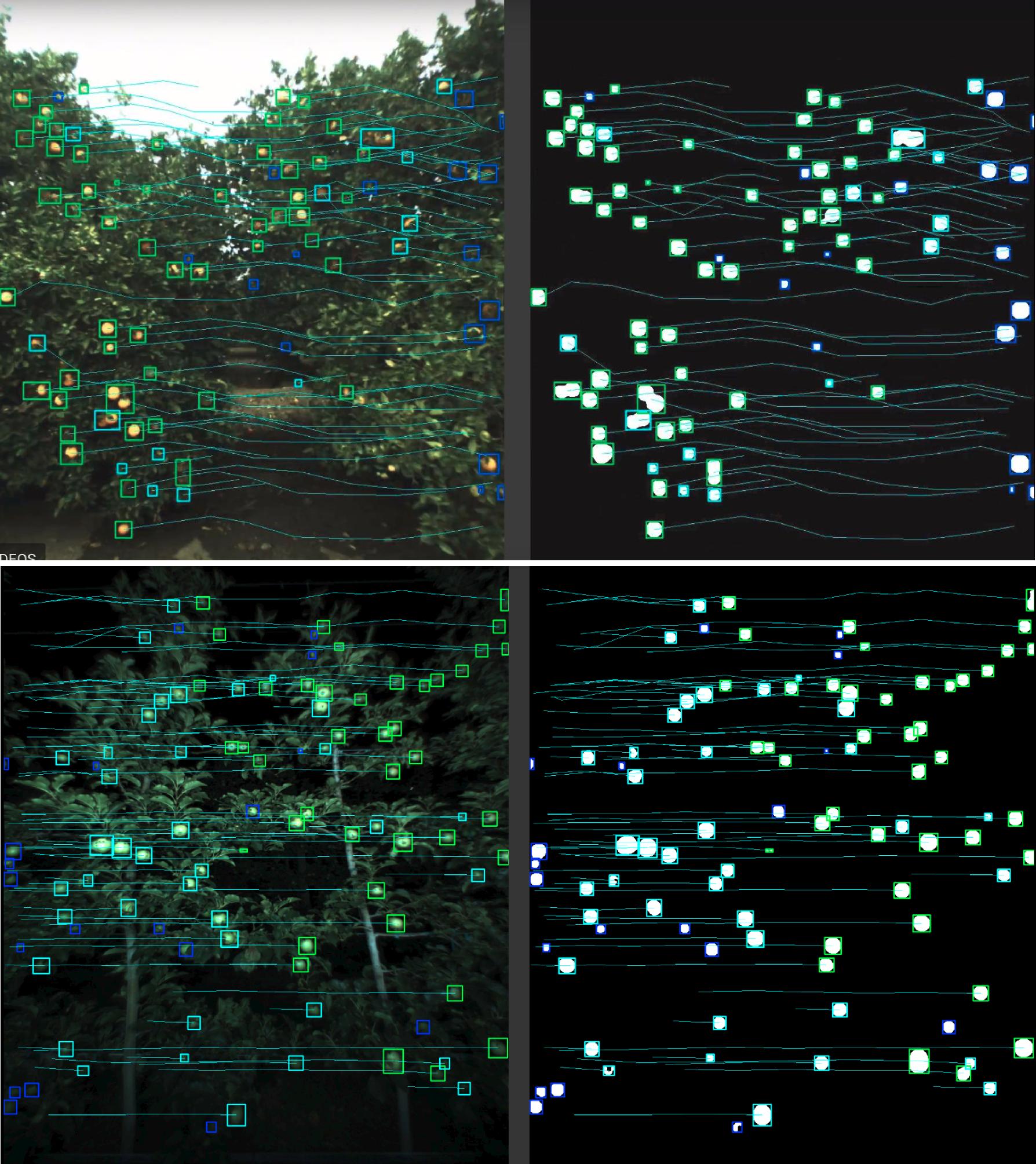 [1804.00307] Robust Fruit Counting: Combining Deep Learning, Tracking ...