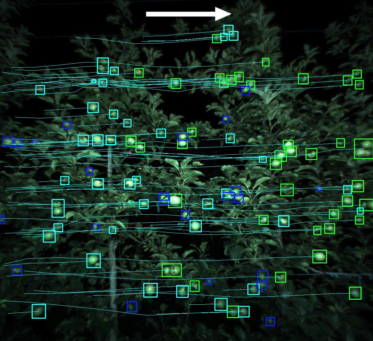 [1804.00307] Robust Fruit Counting: Combining Deep Learning, Tracking ...