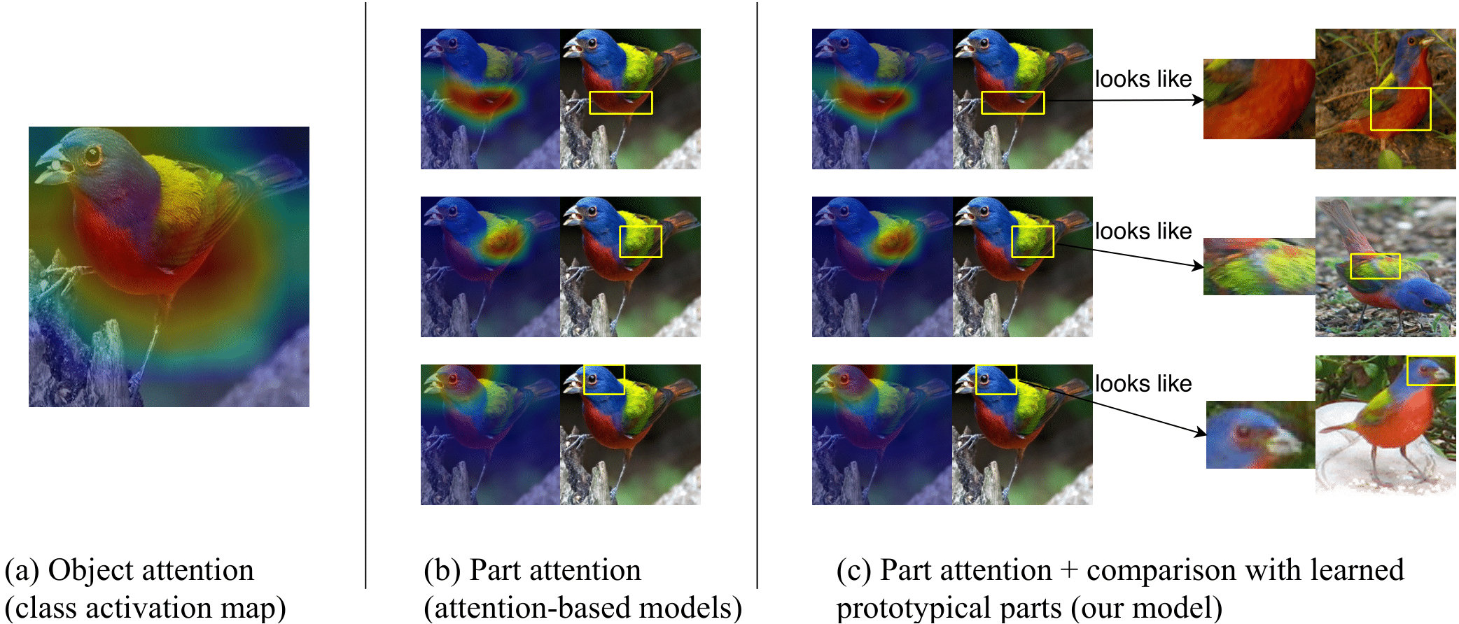 [1806.10574] This Looks Like That: Deep Learning for Interpretable ...
