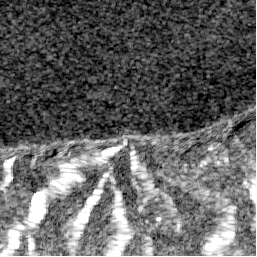 [1807.01569] The SEN1-2 Dataset for Deep Learning in SAR-Optical Data ...