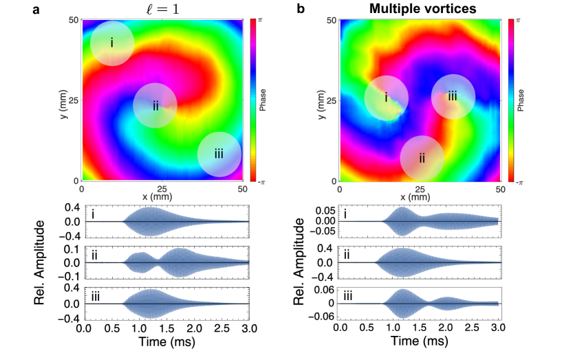 [1810.08079] Measuring the phase velocity of twisted wavefronts