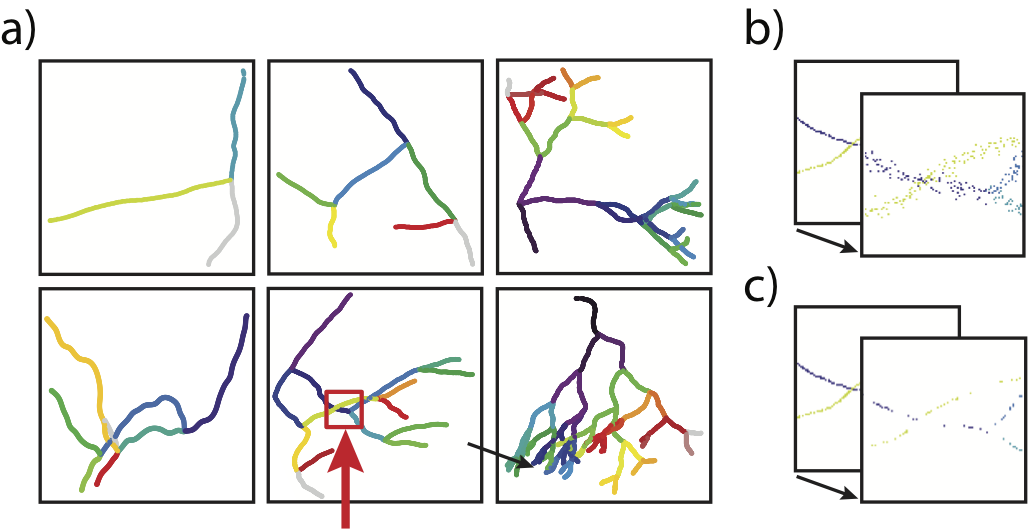 [1811.03208] Deep Semantic Instance Segmentation of Tree-like Structures Using Synthetic Data