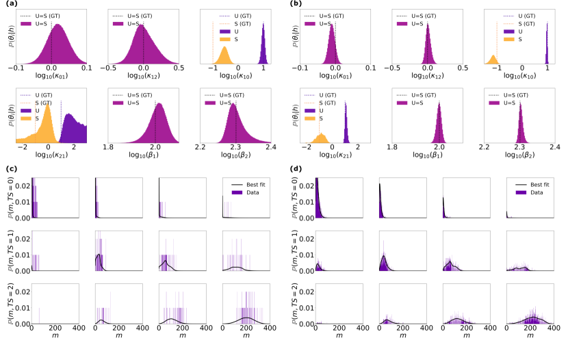 [1812.02911] Accelerated Bayesian inference of gene expression models from snapshots of single ...