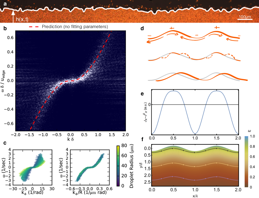 [1812.09990] The free surface of a colloidal chiral fluid: waves and ...