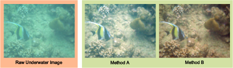 [1901.05495] An Underwater Image Enhancement Benchmark Dataset and Beyond