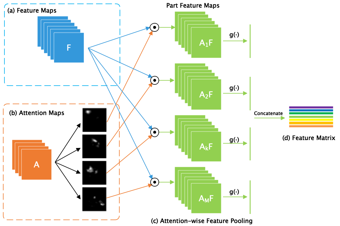 [1901.09891] See Better Before Looking Closer: Weakly Supervised Data Augmentation Network for ...